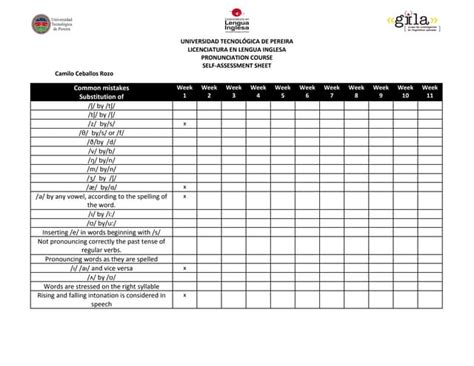 Error Analysis Rubric Pdf