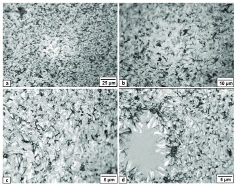 Micrographs Of The Glass Ceramics With Addition Of Wc As Download Scientific Diagram