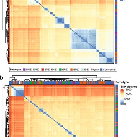 Genomic Similarity Of The Gems Non Dec Fecal Isolates To Pathotype E