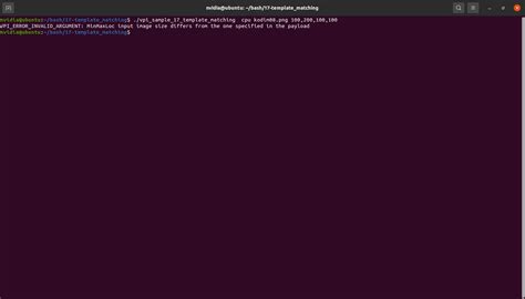 template matching vpi error in sample c code nsight aftermath sdk