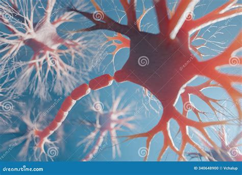 Neuron (nerve Cell) Of Human Brain With Synapses. Neurology Concept. 3D Rendered Illustration ...