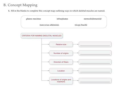 B Concept Mapping 1 Fill In The Blanks To Complete This Concept Map Outlining Ways In Which
