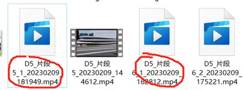 请问渲染出来的mp4文件打不开怎么解决，大家有没有遇到过类似问题 互助小组 d5渲染器