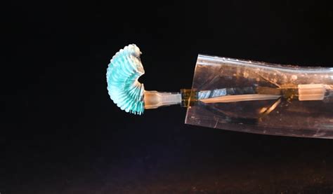 Robotic Catheter Shows Promise For Safer Heart Surgery Cardiology Innovations