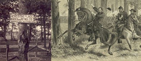 The Gettysburg Reynolds Woods Gettysburg July 1st 1863 Witness Tree