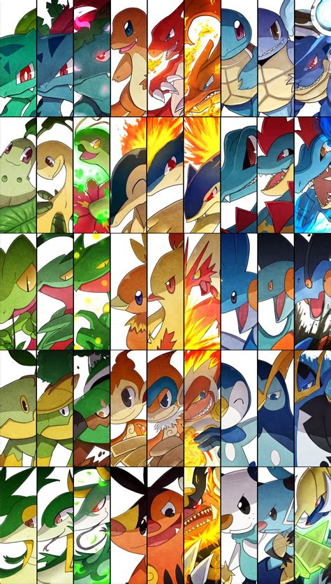 Piplup Charizard Bulbasaur Oshawott Snivy And 40 More Pokemon And