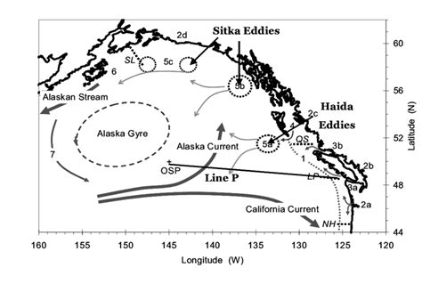 Docking Papa Docking Papa