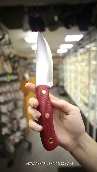 Нож Южный Крест Барибал К - YouTube