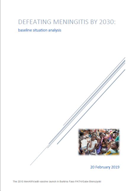 Defeating Meningitis 2030 Baseline Situation Analysis