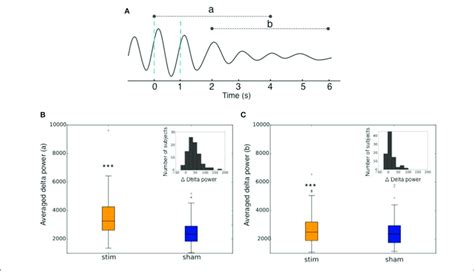 A Graphical Representation Of The Averaged ERP Used To Calculate Download Scientific