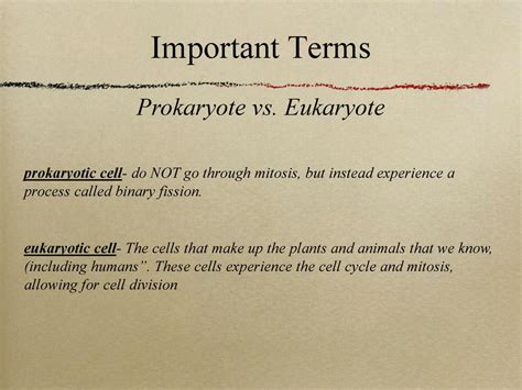 What Is Mitosis We As Humans Dont Start Out Life As A Hundred Trillion Cells We Start As
