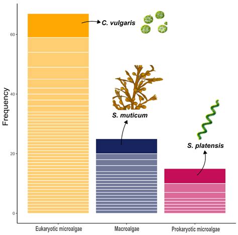 Reviewing The Potential Of Algae Species As A Green Alternative To