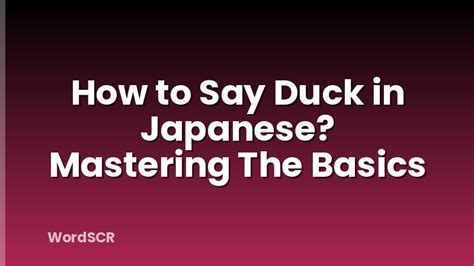 How To Say Duck In Japanese Mastering The Basics Wordscr
