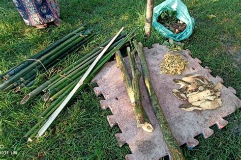 Tcp Pba Ci Activity Report February 2024 Tcp Terminal De Contêineres De Paranaguá