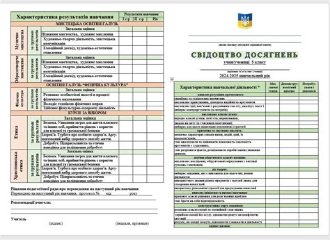 СВІДОЦТВО ДОСЯГНЕНЬ 5 клас ОНОВЛЕНЕ Наказ МОН від 02 08 2024р № 1093 Рекомендації щодо оцінюювання