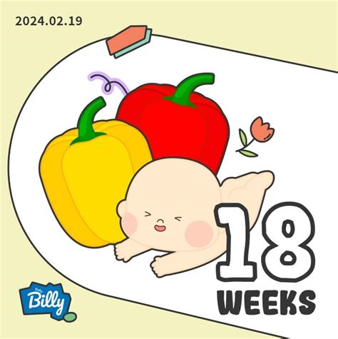 [임신18주차] 일곱번째 초음파 배 통증 태교여행 전 자궁경부 임산부 비염 중이염 18주차 증상 네이버 블로그