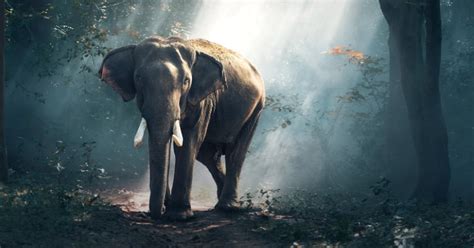 Configuring Postgresql For The First Time