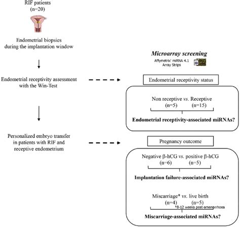 Endometrium Sample Collection And Patients Classification For The