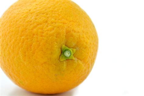 Orange Free Stock Photo Public Domain Pictures