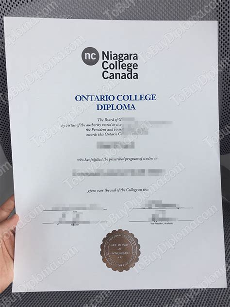 How Will You Use A Fake Niagara College Diploma