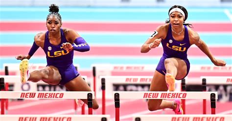 Lsu Athletes Get Three Wins In New Mexico Collegiate Lsu