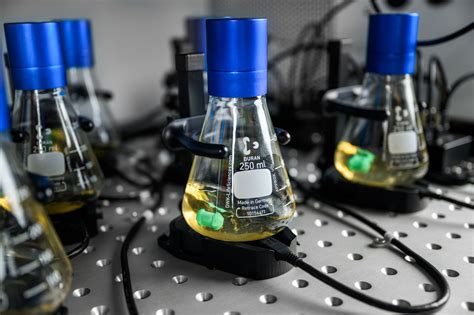 Dissolved Oxygen Do Monitoring In Microbial Bioprocessing Sbi