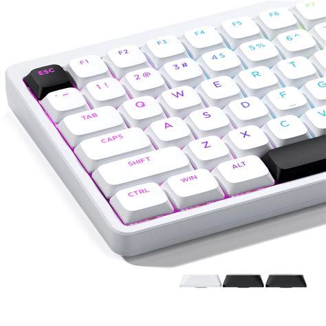 Xvx Low Profile White Keycaps Shine Through Keycap Set Double Desertcart India