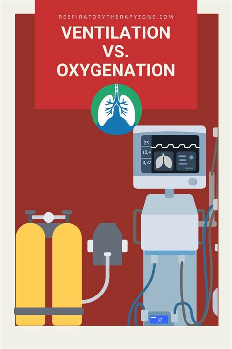 Ventilation Vs Oxygenation Vs Respiration 2024 Artofit