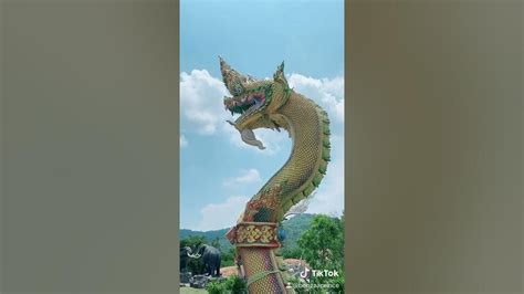 พญานาคตระกูลวิรูปักข์ ณ อุทยานพญานาค4ตระกูล อ กบินทร์บุรี จ ปราจีนบุรี Youtube