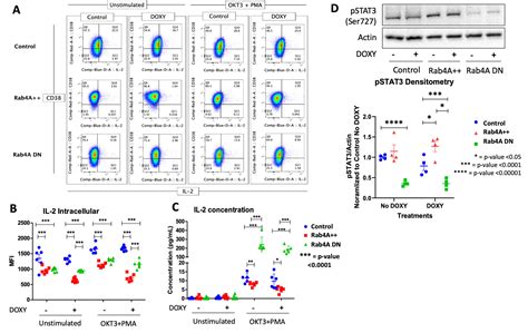 Hres 1 Rab4 Controls The Overexpression Of Cd38 And Depletion Of Il 2 In Cd4 T Cells Potential