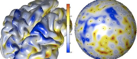 heat kernel smoothing of cortical thickness and surface coordinates