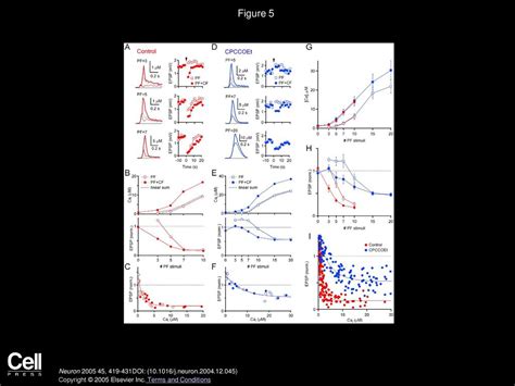 Stephan D Brenowitz Wade G Regehr Neuron Ppt Download