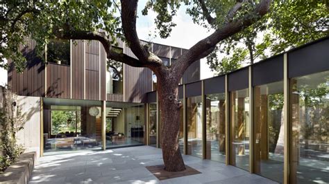 Edgley Design Builds Family Home Around 100 Year Old Pear Tree In London
