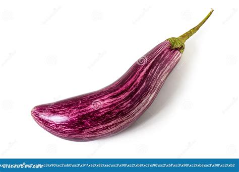 Purple Striped Eggplant Of The `graffiti` Variety Isolated On A White
