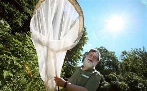 Its Complicated When Dragonfly Love Comes Calling The New York Times Its Complicated When Dragonfly Love Comes Calling The New York Times
