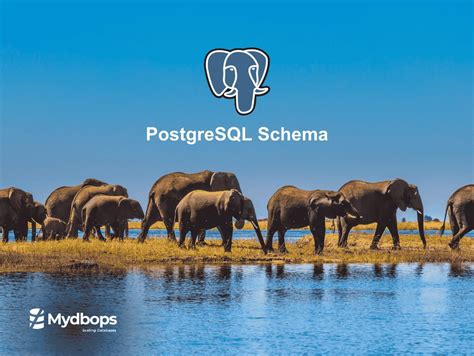 Postgresql Schema Database Security Data Organization