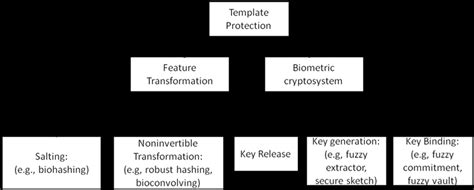 Categories Of Biometric Template Protection [6] Download Scientific Diagram