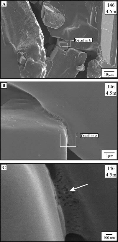 Cryo Sem Micrograph Of Sample 111a Showing That After Months Of