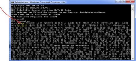 Sending Unexpected Characters Prior To User Command In Filezilla Server Download Scientific