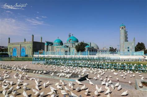Fraidoon Amiri On Linkedin Happynowruz Nowruzmubarak
