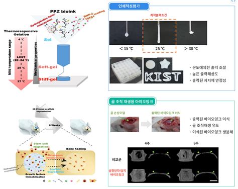 Startup주넥스젤바이오텍