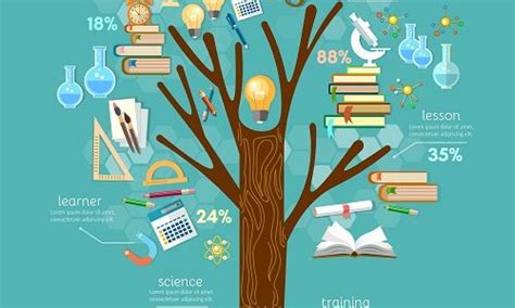 Ecd National Diploma Module 2 Mediate Active Learning In Ecd Programme Educational Training