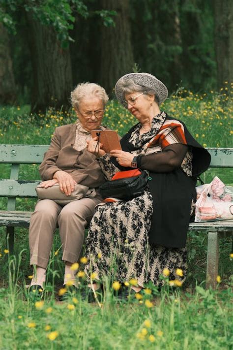 공원 벤치 나무 노인 노인 간호 녹지 단란함 대화 독서하는 동반자 따뜻한 옷 레저 모자 목가적인 문학 민들레 봄 봄 꽃 빈티지 스타일 사회화