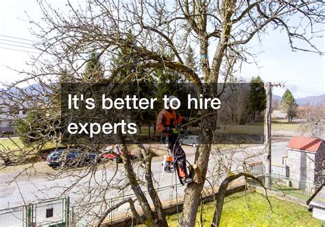 How To Go About Landscaping Branch Tree Removal GLAMOUR HOME