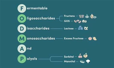 Are Beets Low Fodmap Your Essential Serving Guide Gourmend Foods