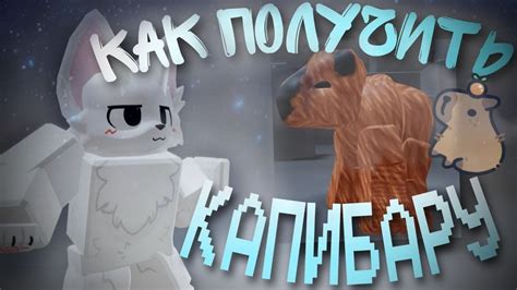 ОЧЕНЬ СРОЧНО!!!🚨 КАК ПОЛУЧИТЬ КАПИБАРУ?!?😍 - YouTube