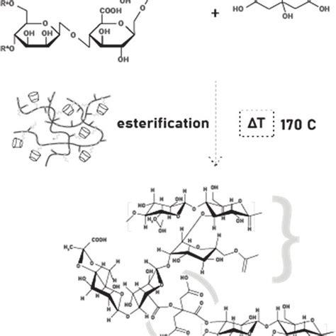 Esterification Reaction Of Xanthan Gum With Citric Acid For Cross Linking Download Scientific