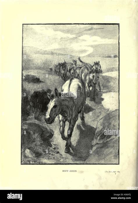 This Work Examines Past Evolutionary Processes Through Visual