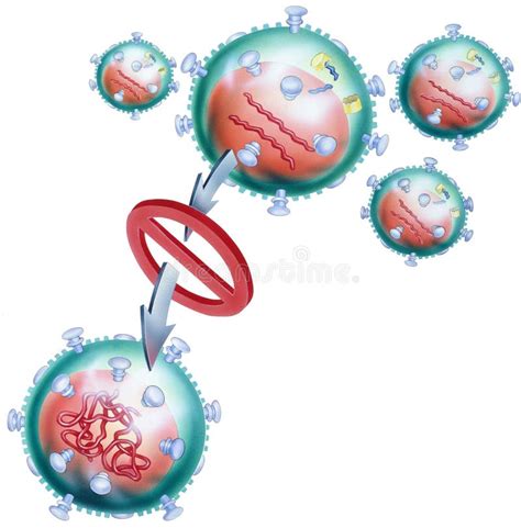 Hiv Virus Reverse Transcriptase Block Stock Illustration Illustration Of Immunodeficiency