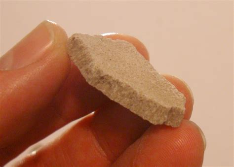Idd Fossils Genuine Saltasaurus Real Dinosaur Egg Shell 30 35mm